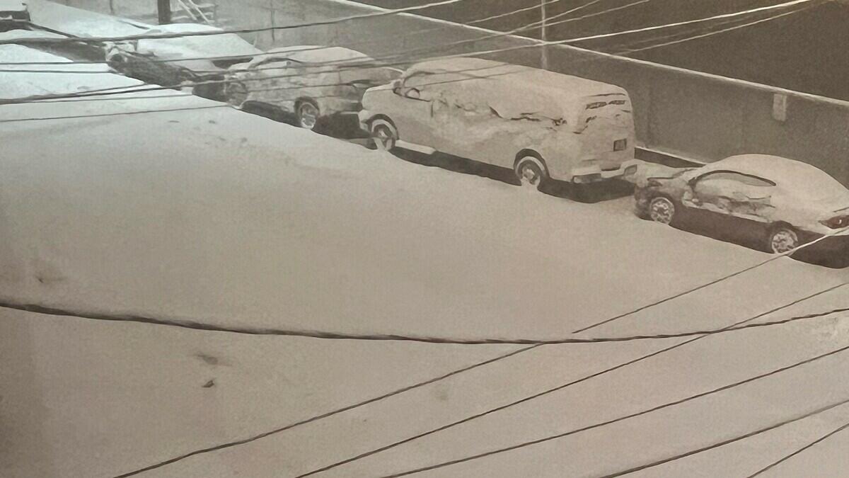 Winter Weather Advisory: Newark, North Jersey Blanketed in 2-5 Inches ...