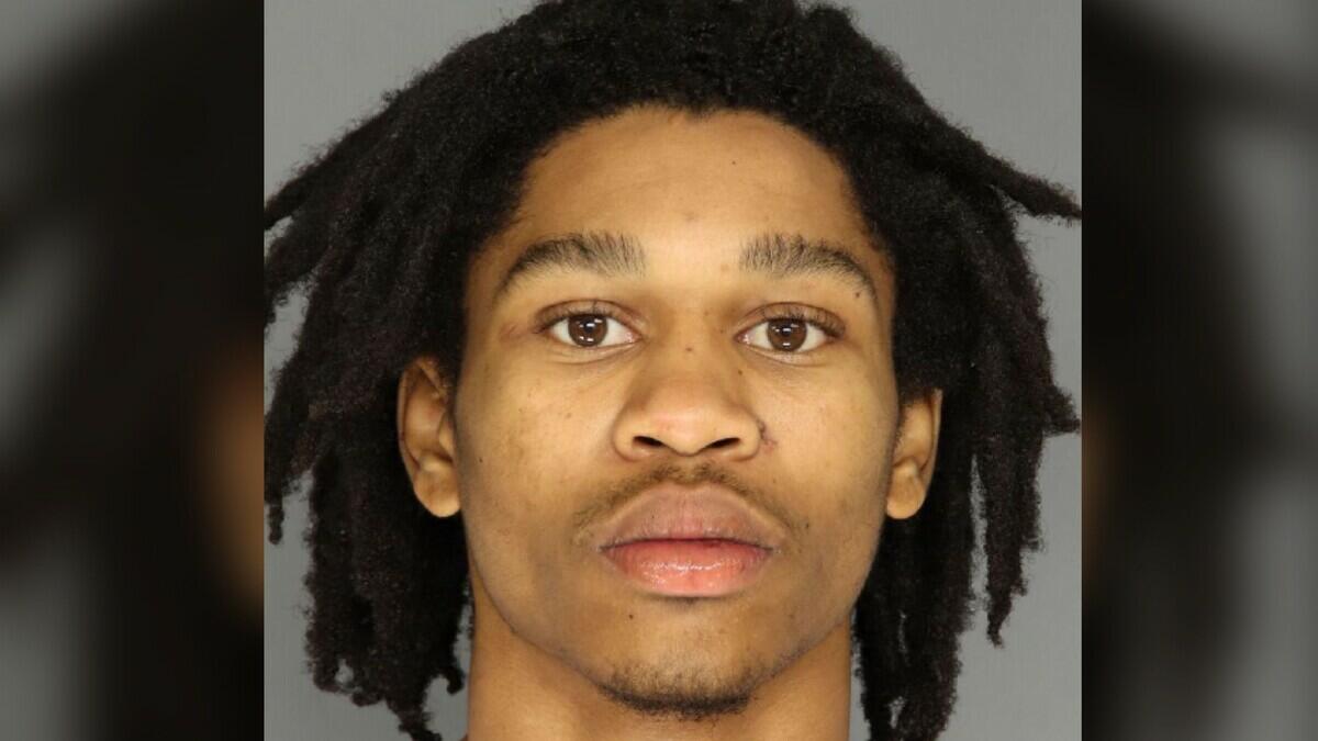 Newark Gang Member Pleads Guilty to RICO Charges, Admits Involvement in ...