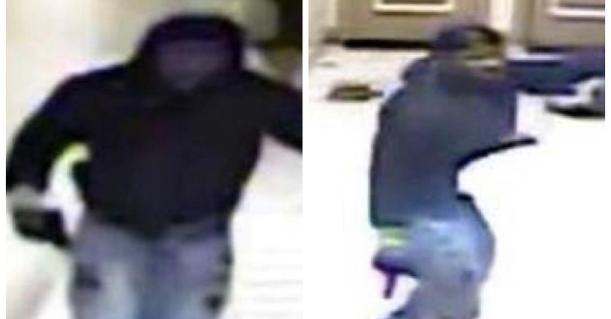 Police Search for Violent Armed Robbery Suspect Who Pistol Whipped ...
