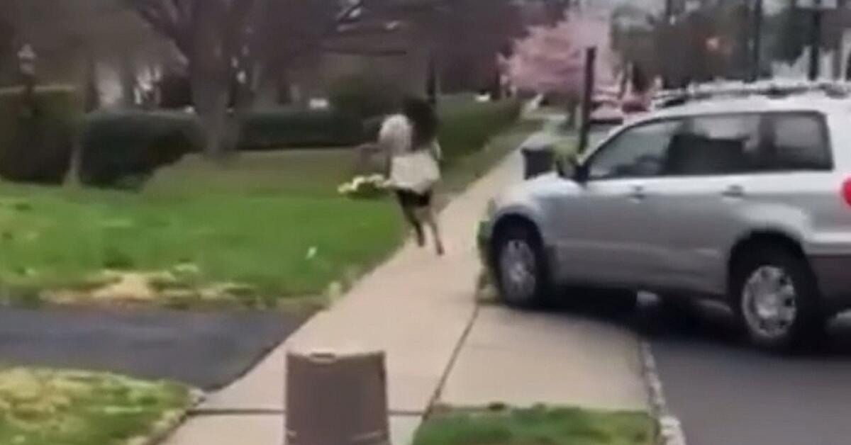 Suspect who Allegedly Ran Over Woman in Elizabeth says Car ‘Slipped ...