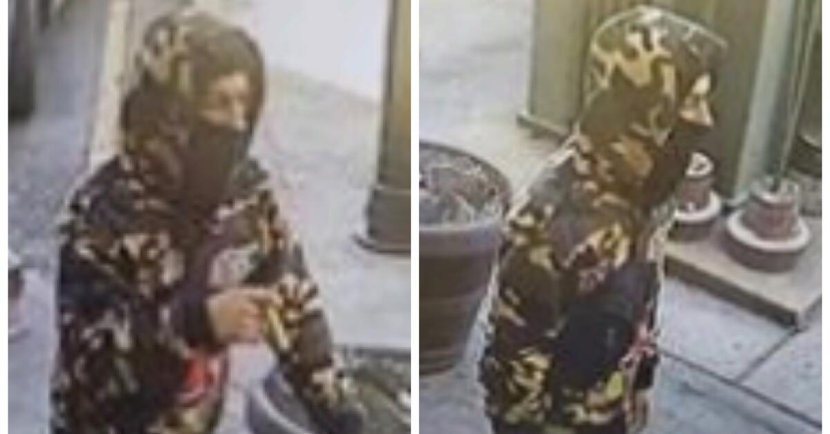 ALERT: Suspect Wanted for Vehicle Theft Involved in Newark Shooting