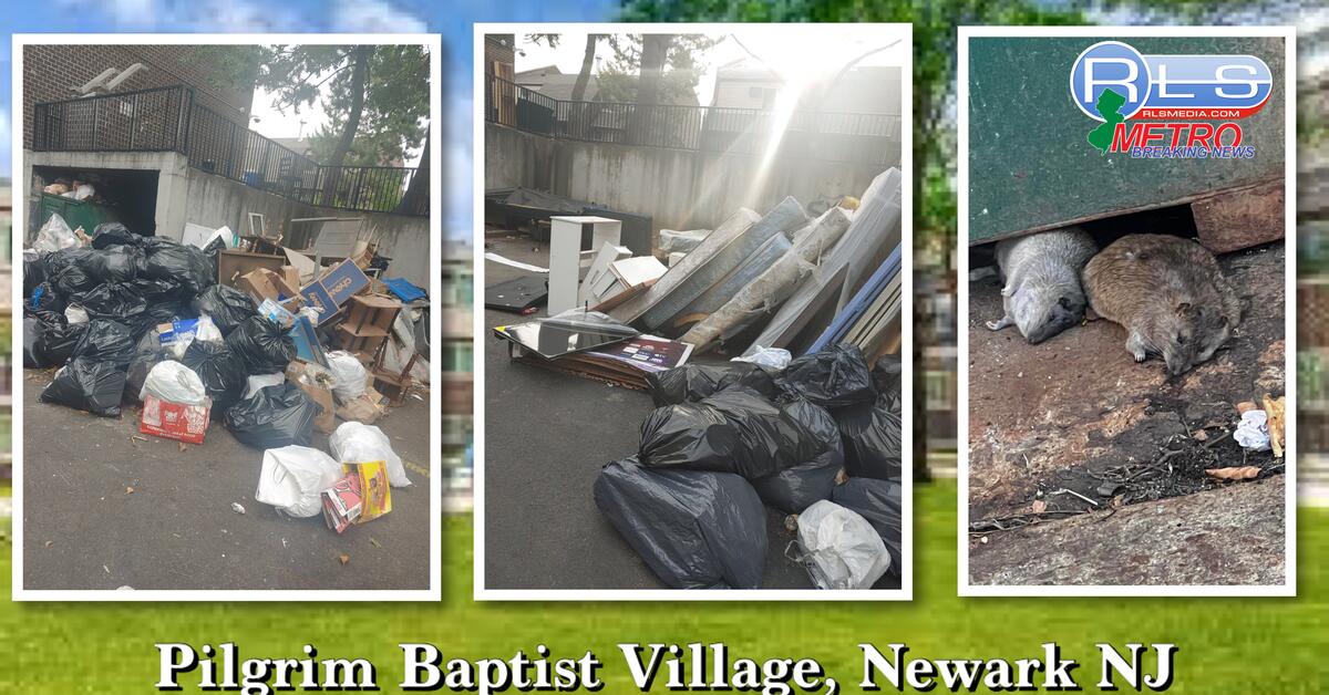 Trash Buildup, Rampant Rodent Problem Causes Health Concern at Newark ...