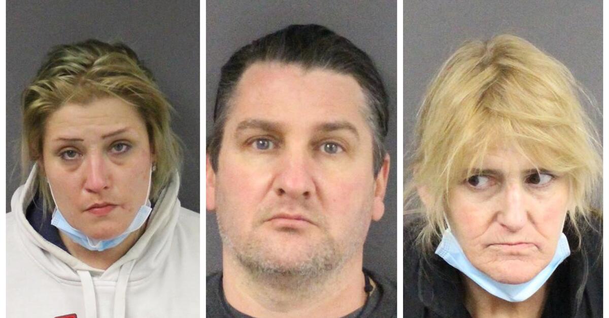 Police Task Force Investigation Leads to Three Arrests, 11 Guns ...