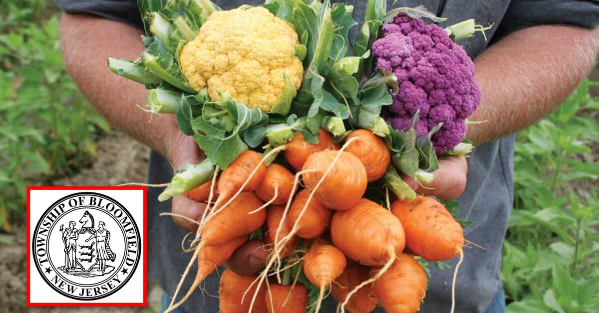 Bloomfield Community Garden Donates Committee Donates 540 Pounds of ...