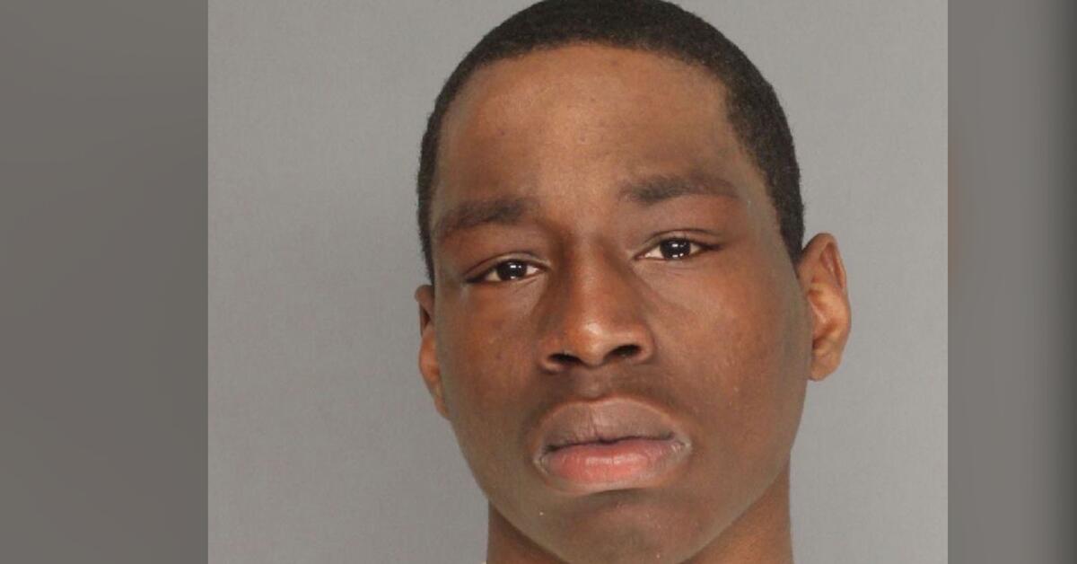 NJ Judge Sentences Irvington Man to Jail for Possessing Gun During ...