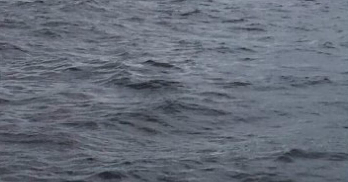 Search, Rescue Crews Recover Body of Missing Monmouth County Swimmer Search, Rescue Crews Recover Body of Missing Monmouth County Swimmer