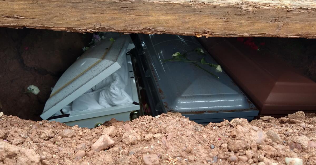 Rats, Rodents Found in Opened, Neglected Casket at Graveyard in Union ...