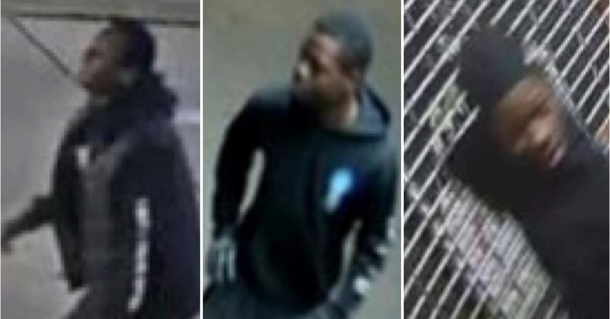 UPDATE: Police Continue to Seek Public's Help Identifying Attempted ...