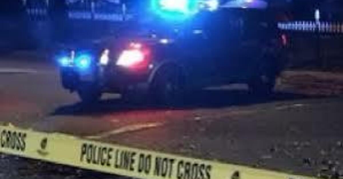 High-Speed Chase Ends in Hillside After Suspect Steals Police Vehicle ...