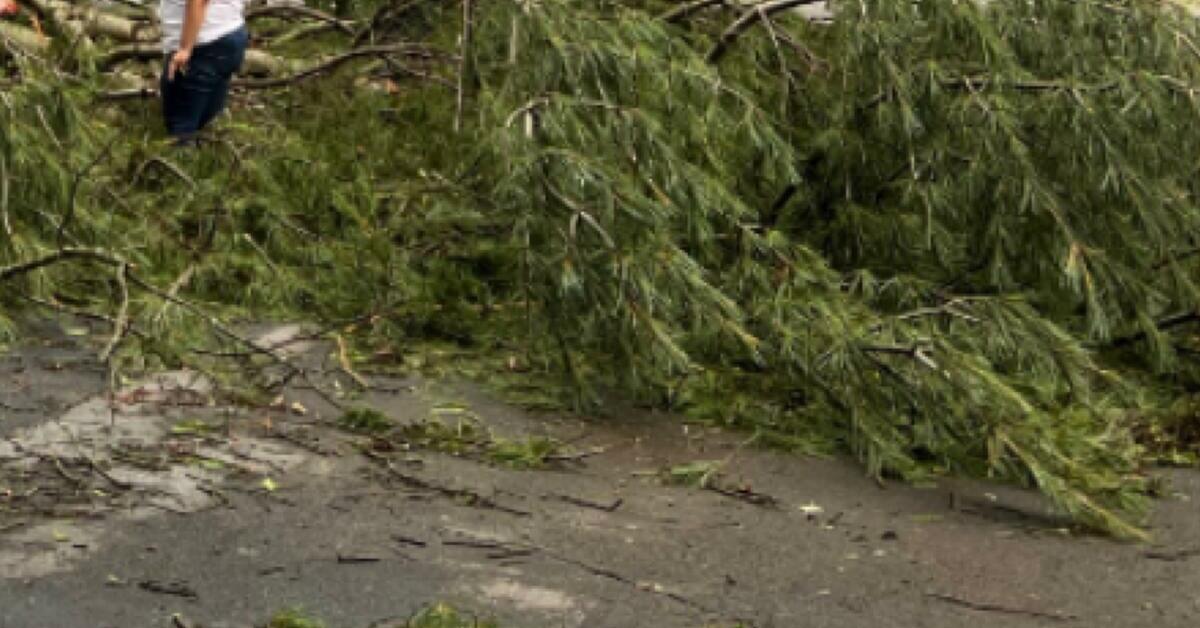 North Jersey Wakes Up to Storm Damage, Transit Suspensions, Power Outages