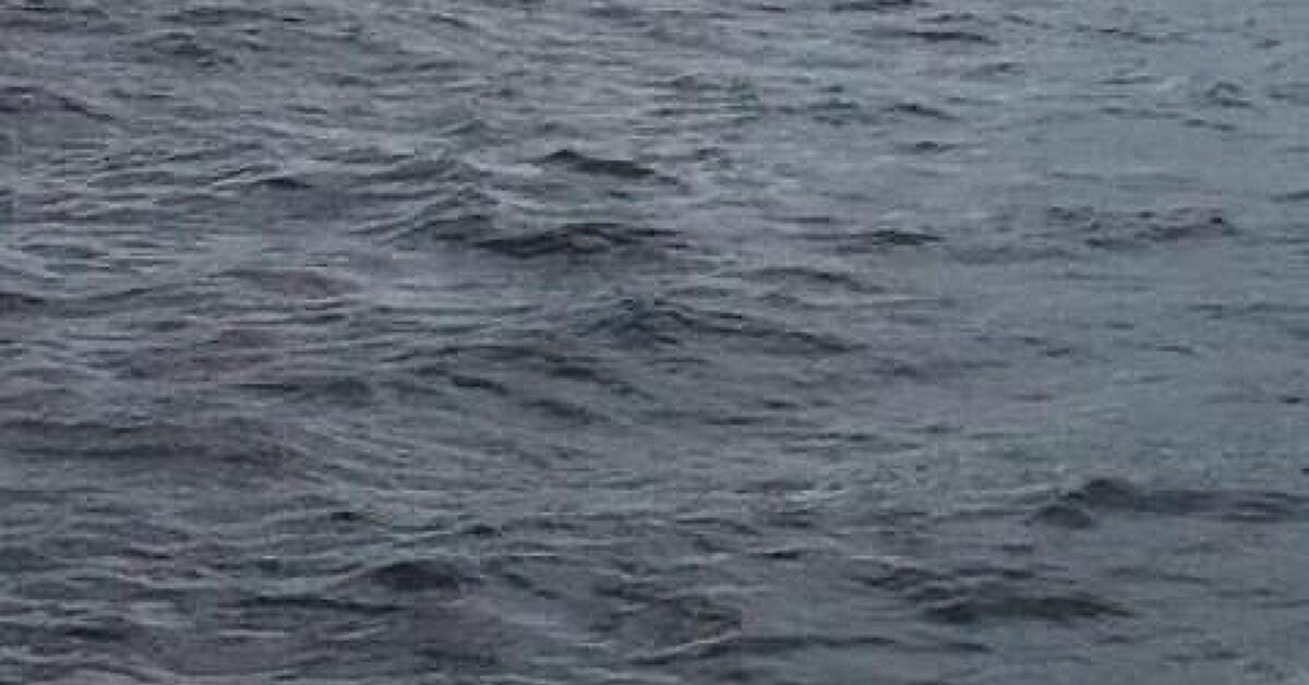 UPDATE: Body of Man Found Floating in Passaic River in Harrison