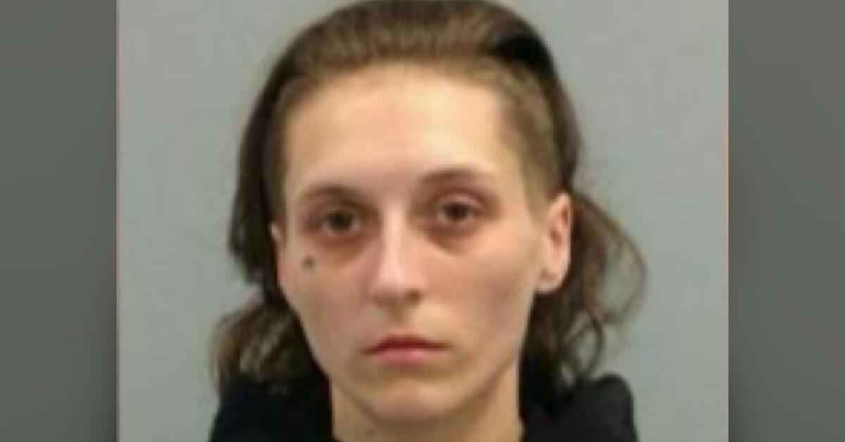 UPDATE: NJ Woman Sentenced to State Prison for Fatal Crash in Brick ...