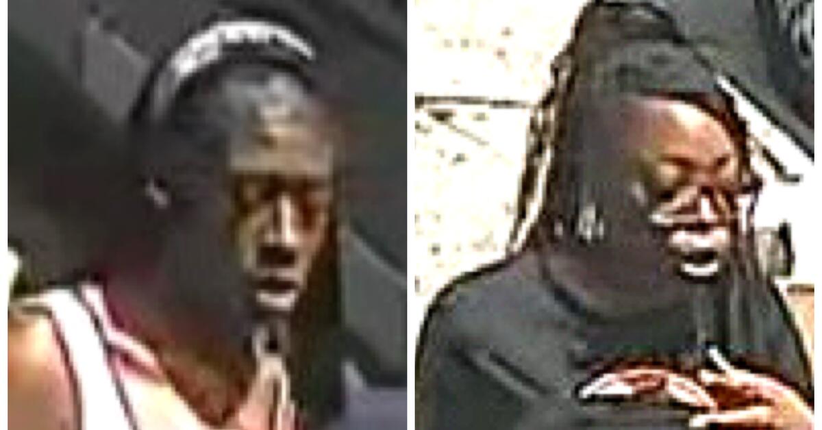 Females Wanted for Questioning in Push Cart Ice Cream Vendor Robbery