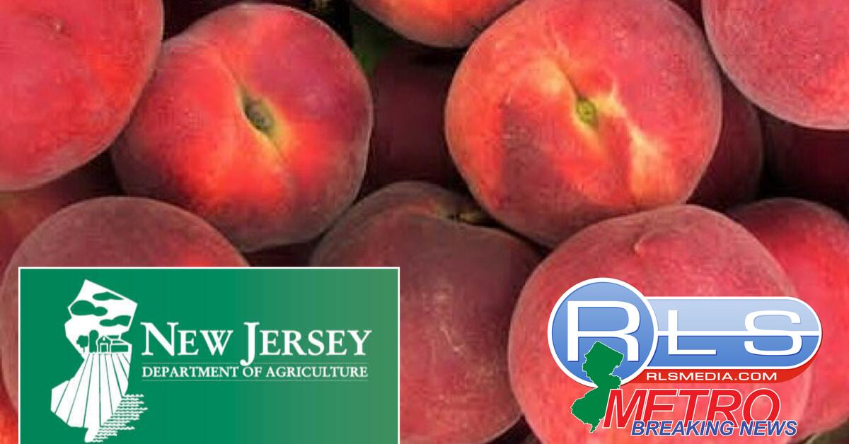 NJDA to Celebrate National 'Eat a Peach Day' with Free Jersey Fresh ...