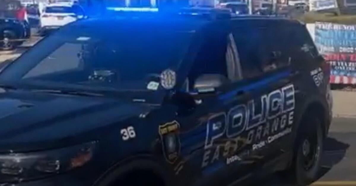 UPDATE: Police Fatally Shot Pitbull in East Orange After Toddler ...