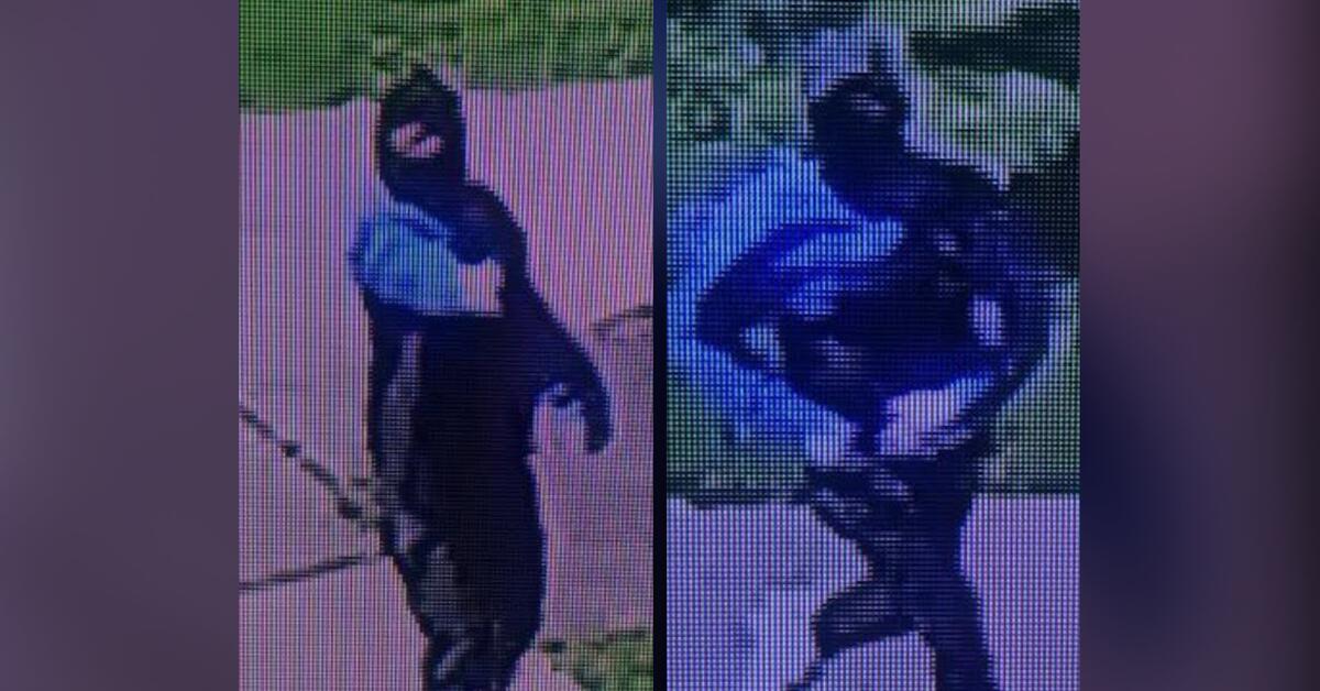 Newark Police Seek Help Identifying Shooting Suspect