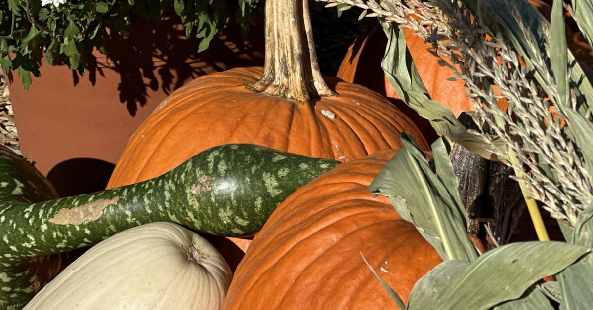 Bergen County Residents Encouraged to Recycle Fall Décor in Allendale