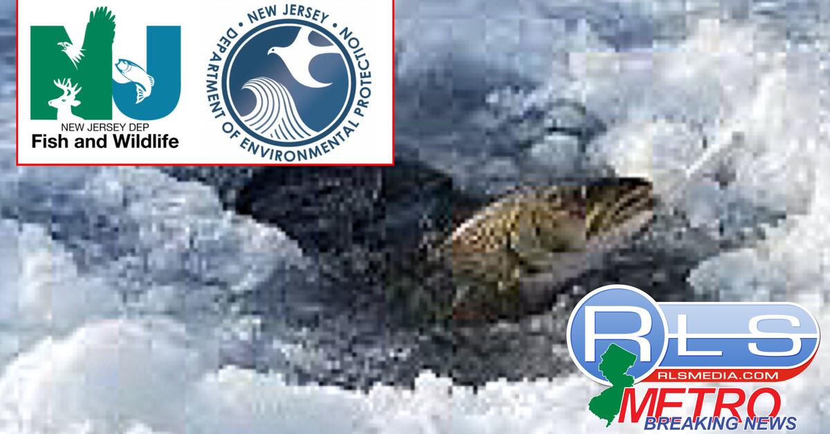 NJDEP Fish & Wildlife to Host Introductory Ice Fishing Seminar in November