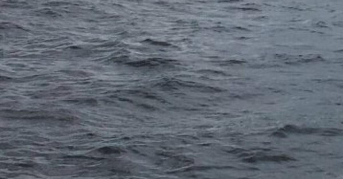 DEVELOPING: Decomposed Body of Male Found Floating in Pond in Orange Park