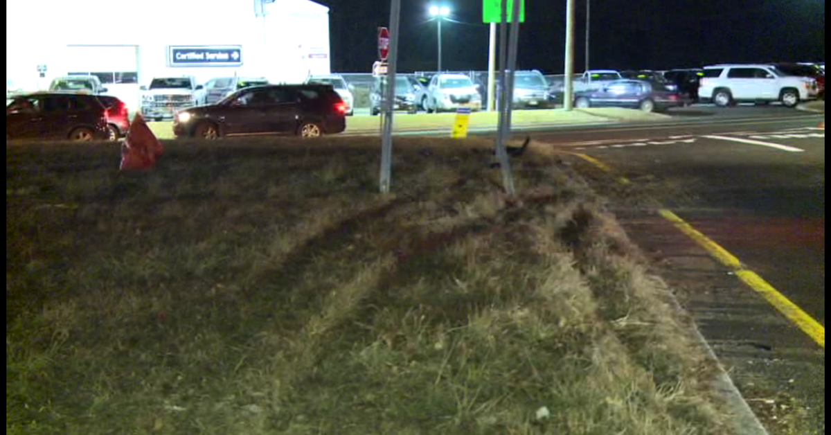 Autopilot Malfunction Blamed for Tesla Vehicle to Leave Roadway, Crash ...