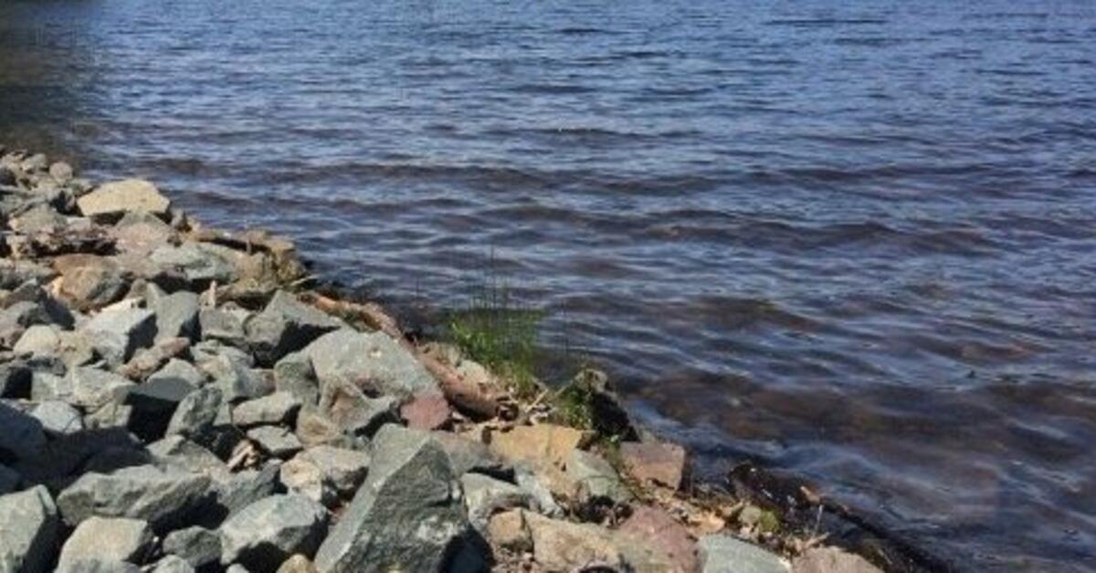 Update: Man's Body Pulled from Passaic River