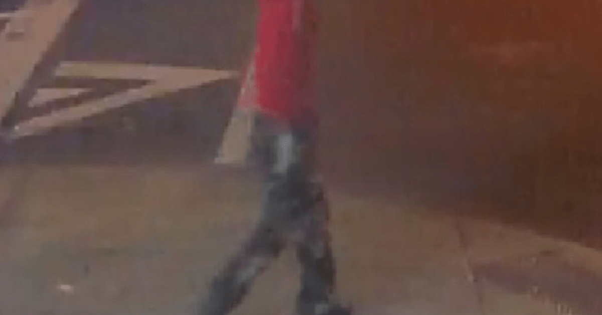 Image Shows Final Minutes of "Uggie's" Life as Essex Authorities Press ...