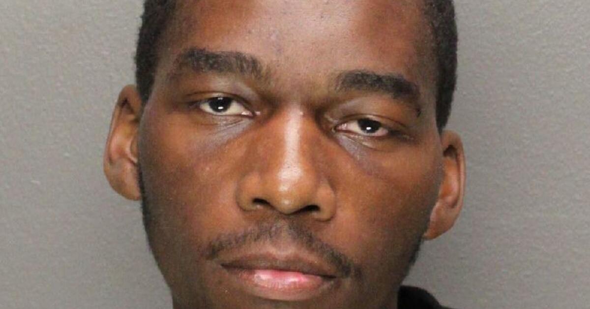 UPDATE: Police Arrest Man for Occupying Stolen Car that Crashed into ...