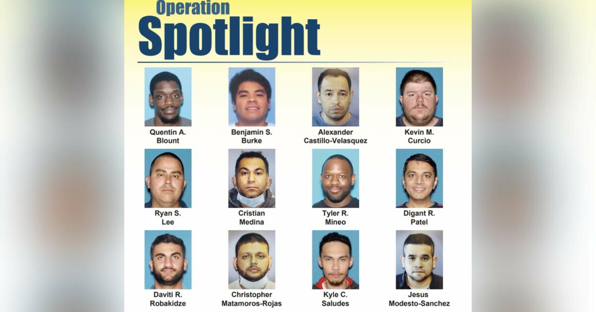 12 Men Arrested for Contacting Minors in “Operation Spotlight”