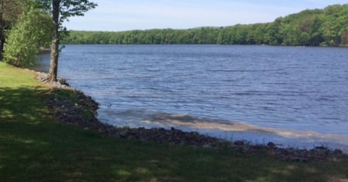 Authorities Search Passaic River After Alligator Sighting in Elmwood Park